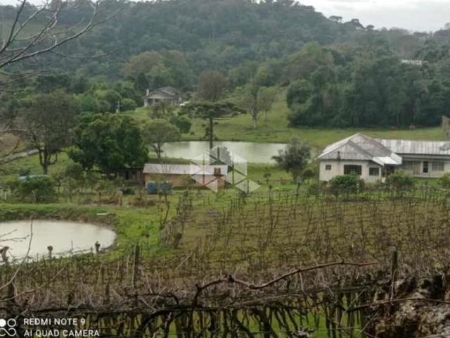 Área de terra rural de 14 hectares em Monte Belo do Sul