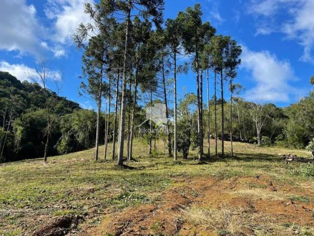 ÁREA DE TERRAS