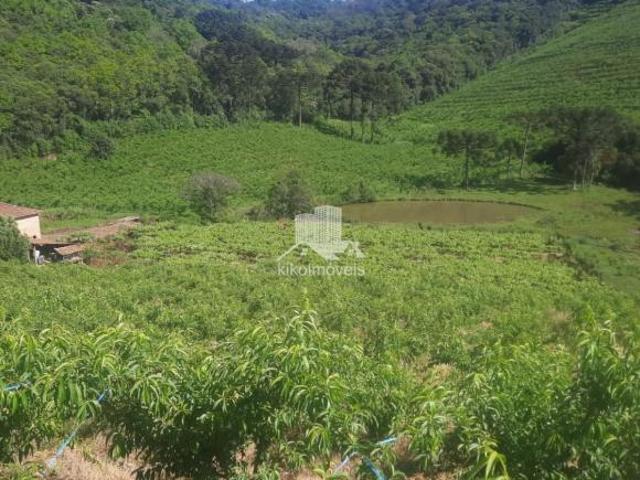 ÁREA DE TERRAS
