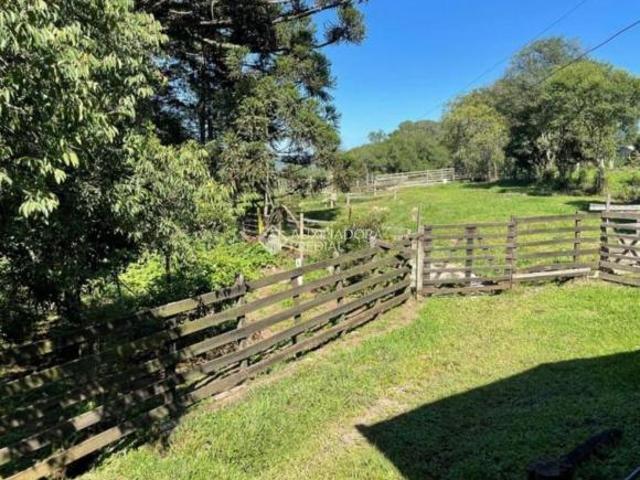 Área de terras à venda em Criuva com comércio