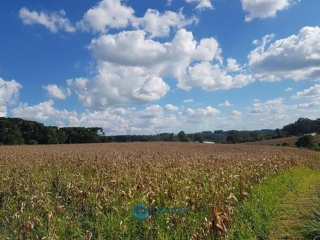 Área de terras a venda em Forqueta Caxias do Sul