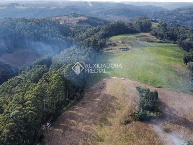 Área de terras á venda em Galopolis, distante uns 25 km de Caxias do Sul