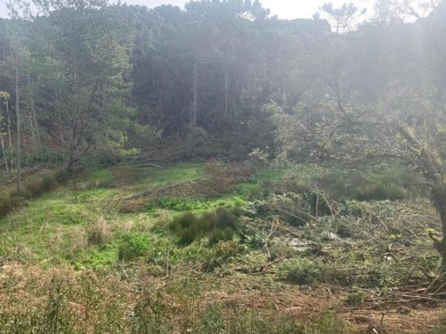 Área de Terras à Venda em Gramado