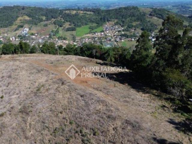 Área de Terras à venda em Santa Clara do Sul
