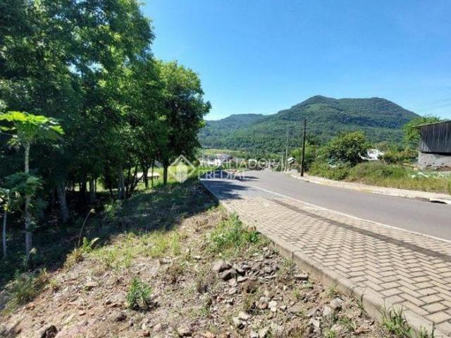 Área de terras a venda em zona urbana em local tranquilo e sossegado