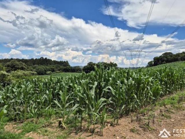 ÁREA DE TERRAS ? Aimoré Vila Flores RS
