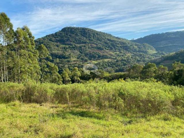 ÁREA DE TERRAS CHÁCARA COM 45 HECTARES EM LINHA BOA VISTA SANTA CRUZ DO SUL/RS