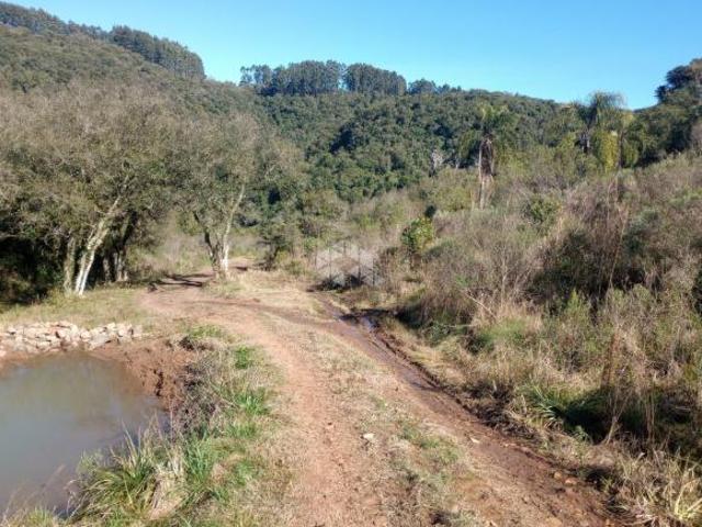 Área de terras com 42 hectares a venda em Cerro Branco chácara