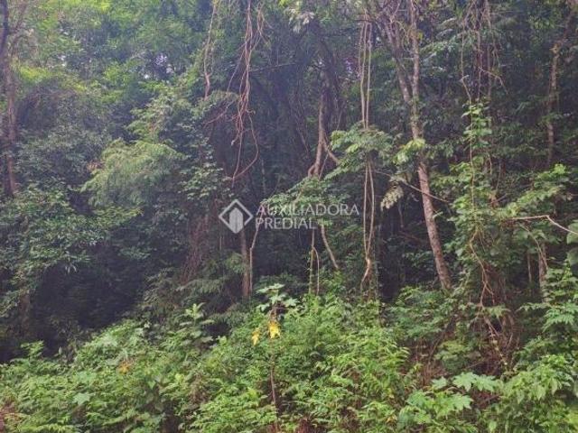 área de terras com 6 hectares em Nova Petrópolis RS