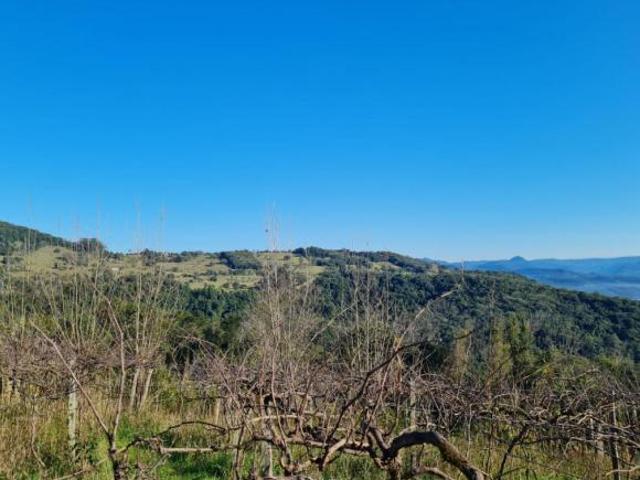 Área de terras com vista! Ideal para sítio ou construção de caban