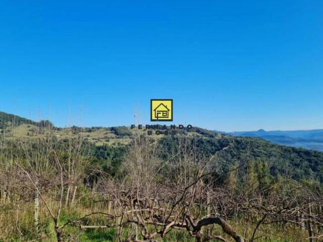 Área de terras com vista! Ideal para sítio ou construção de cabanas para locação!