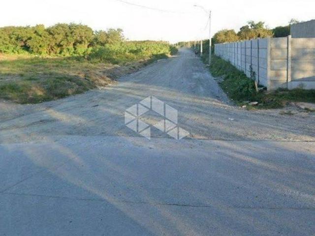 Área de Terras de 4.000 m² na Av. Nelson Mandela, Pelotas