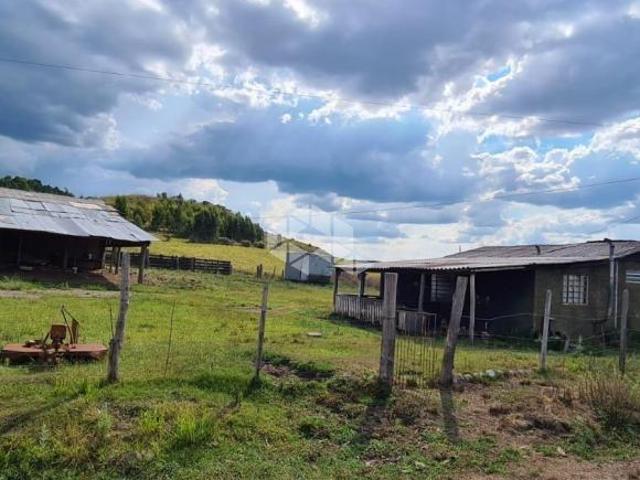 ÁREA DE TERRAS EM EM VILA SECA, CAXIAS DO SUL, ÓTIMA PARA PLANTIO