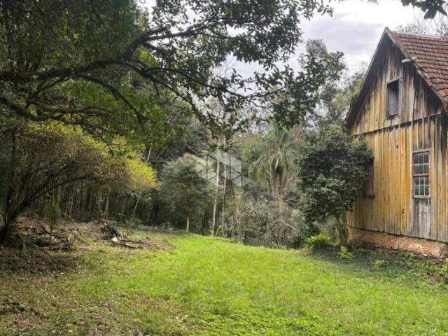 AREA DE TERRAS EM FLORES DA CUNHA PARA EXPLORAÇÃO TURISMO