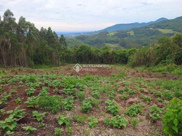 Área de terras em região rurbana na cidade de Dois Irmãos RS