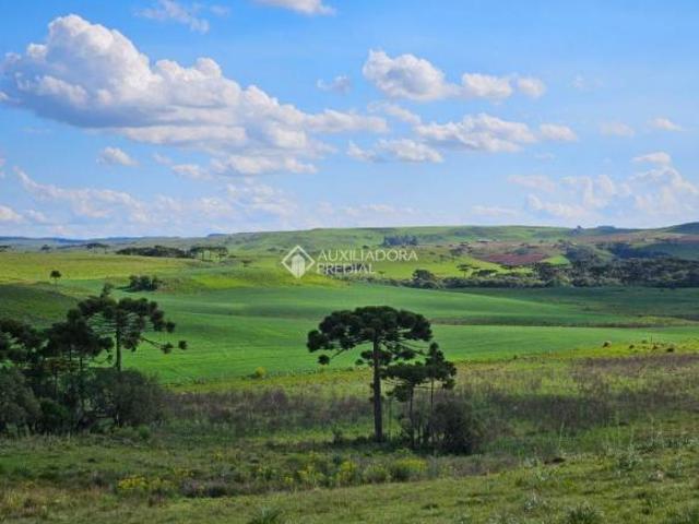 Área de terras em São Francisco de Paula