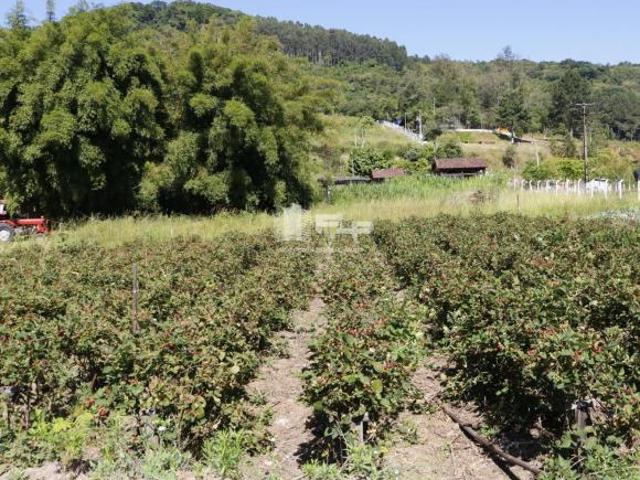 ÁREA DE TERRAS NAS MARGENS DA RS 452