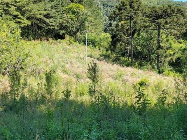 Área de terras para investidores em Gramado na Localidade de Linha Nova