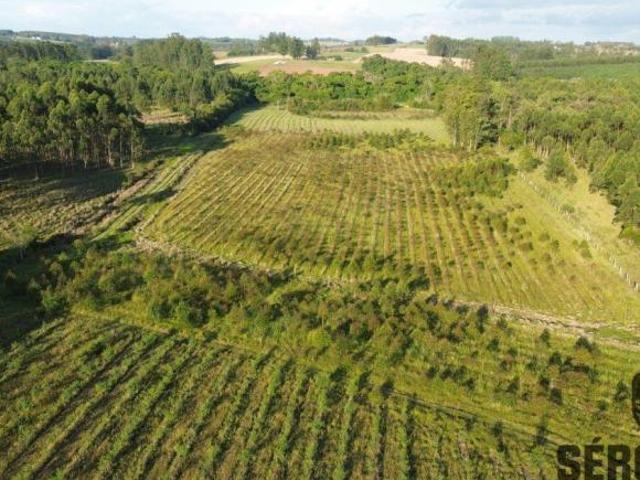 ÁREA DE TERRAS PARA SÍTIO OU AGROPECUÁRIA EM TRIUNFO RS