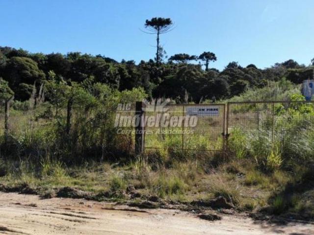 Área de terreno situado na Cidade Industrial, com