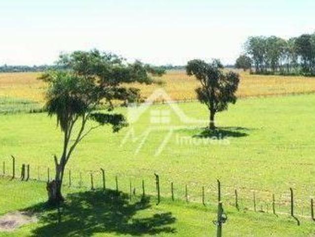 ÁREA DE 169.400 M² A VENDA EM ARAÇATUBA SP