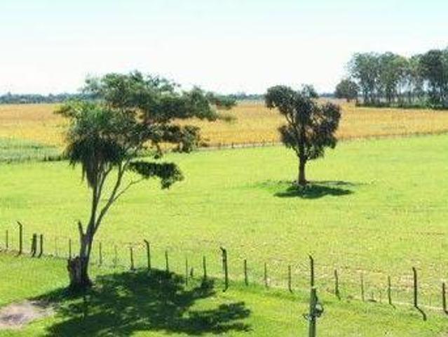ÁREA DE 169.400 M² A VENDA EM ARAÇATUBA SP