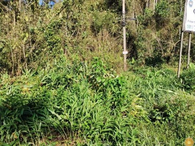 Área de 10.200 m² frente a Rodovia Osvaldo Cruz com escritura definitiva !