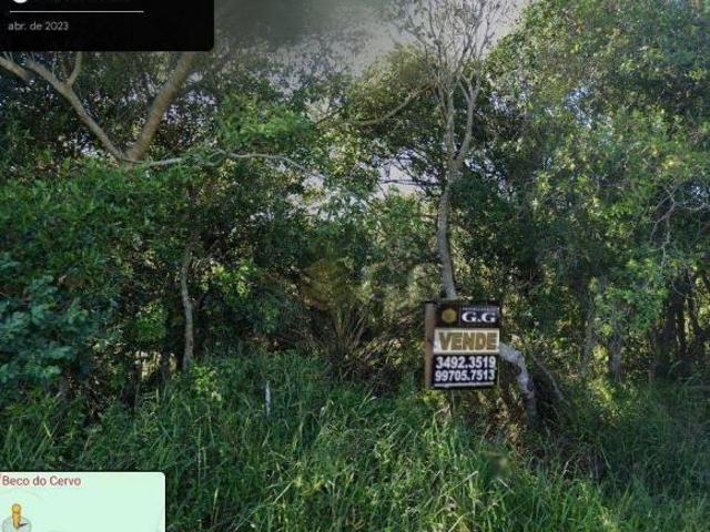 Área de 10ha para venda Cantagalo