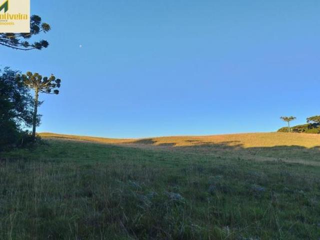 Área de 116 há entre Canela e S.F. de Paula!
