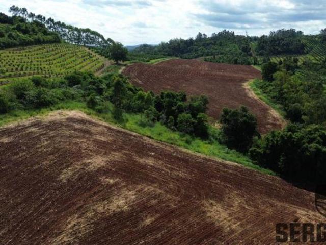 ÁREA DE 11,9 HÁ FRENTE PARA ASFALTO NO DESPIQUE, PRÓXIMO A POSTO DE SAÚDE E DA EMPRESA FG FRUTAS