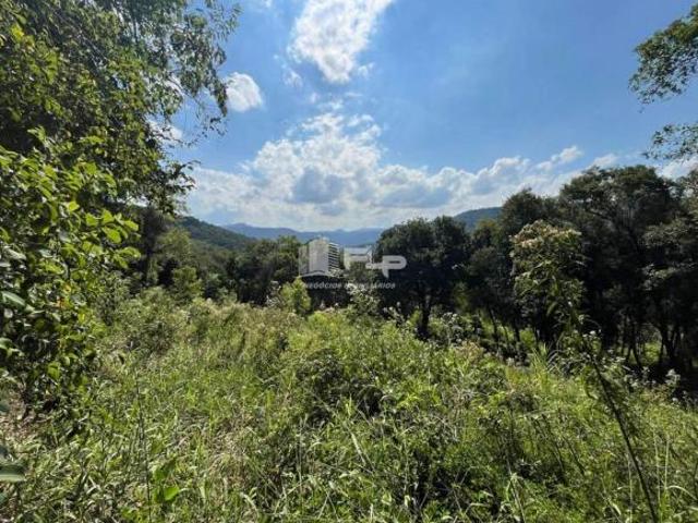 ÁREA DE 1 HECTARE NO BAIRRO SÃO ROQUE