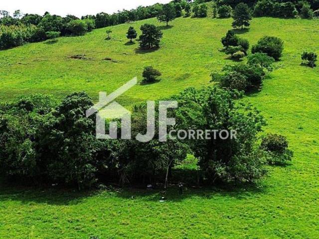Área de 26 Hectares à Beira do Asfalto em Capela de Santana RS – Terreno Alto, 260.000m², Água Abund