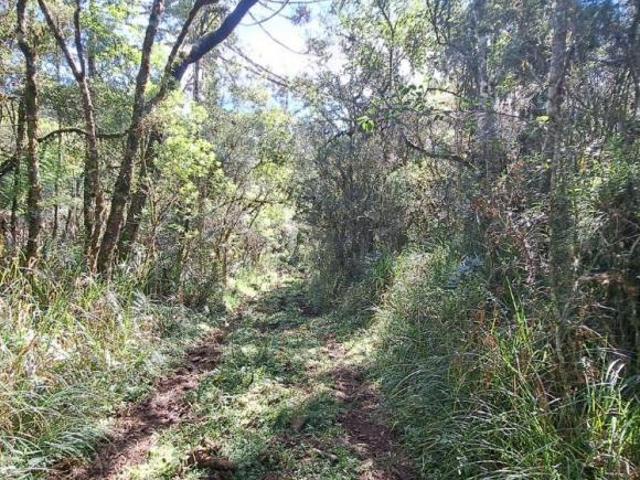 Área de 274.971m² em Cambará do Sul/RS