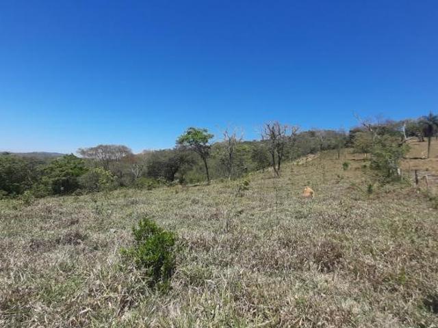 Área de 20.000 m² Esmeraldas