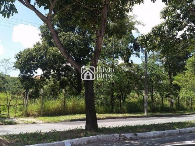 Área de 20.000 m²