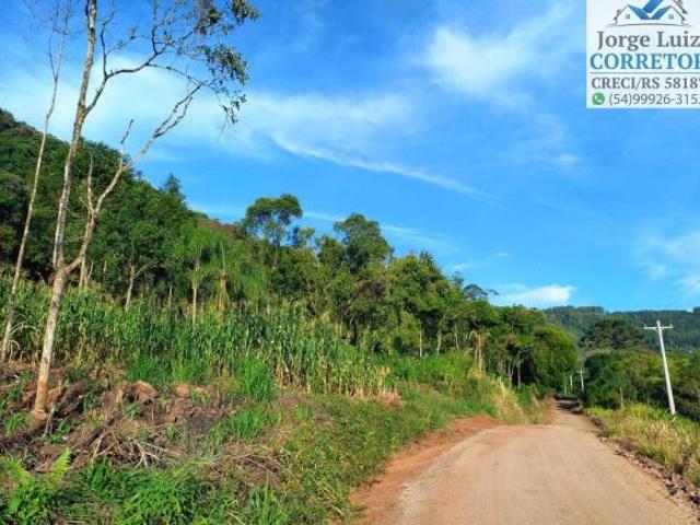 Área de 2,3ha