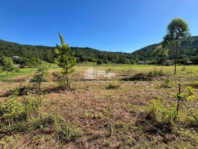 ÁREA DE 2,1 HECTARES NO COQUEIRAL