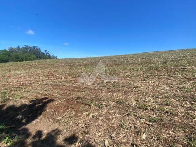 Área de 2,5 Alqueires em Cerro da Lola Possui Mina D`Agua Sem Infraestrutura, a 20 Km de Toledo