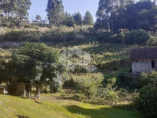 ÁREA DE 2,5 HECTARES DESVIO RIZZO, CAXIAS DO SUL