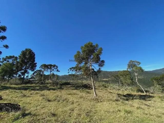 Área de 2 hectares para venda no morro da igreja