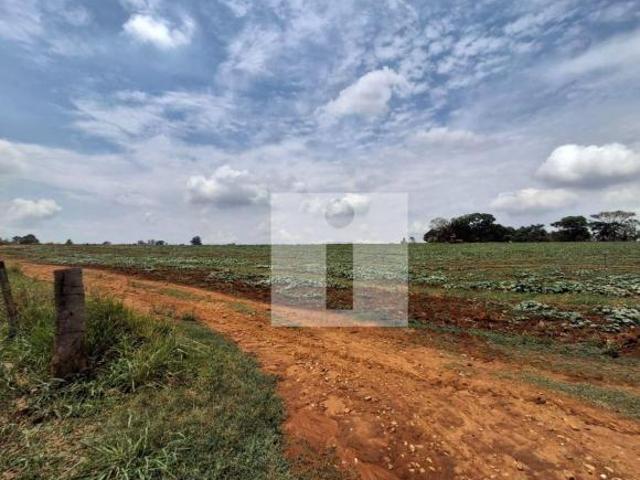 Área de 38.000m² à venda em Monte Mor/SP