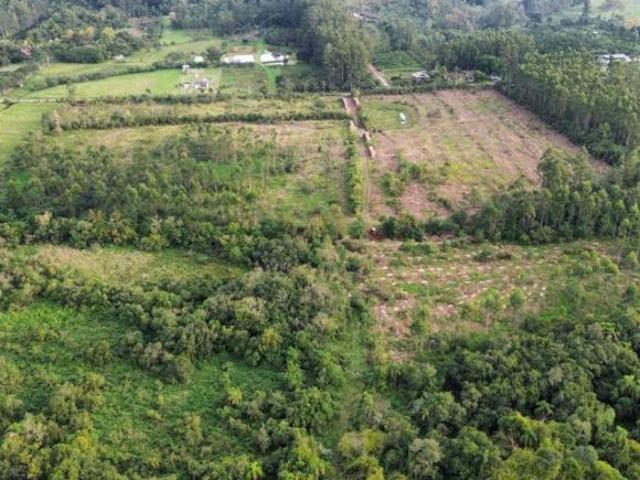 ÁREA DE 33,6 HÁ PARA AGROPECUÁRIA, CITRICULTURA OU REFLORESTAMENTO A 5 KM DO ASFALTO E 16 KM DE MON