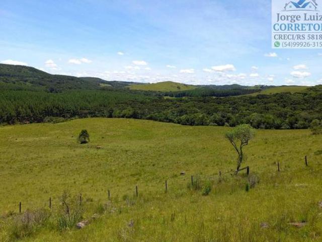 Área de 425ha