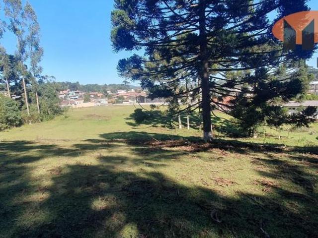 Área de 56.019,76m2 Almirante Tamandaré