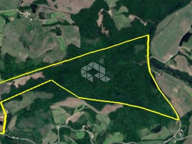 Área de 50 Hectares com Vegetação Nativa