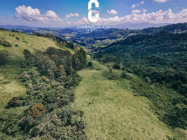 Area de 608.000 m² à venda, Bairro dos Mellos, Campos do Jordão, SP