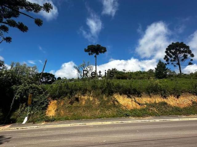 Área de 8.001 m² à Venda em Almirante Tamandaré – Frente para Avenida, Ideal para Construção de Apar