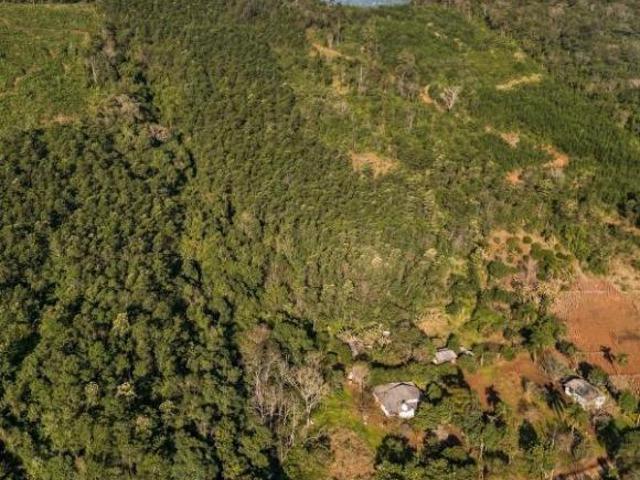 Área De 8.14 Ha Com Preço Especial