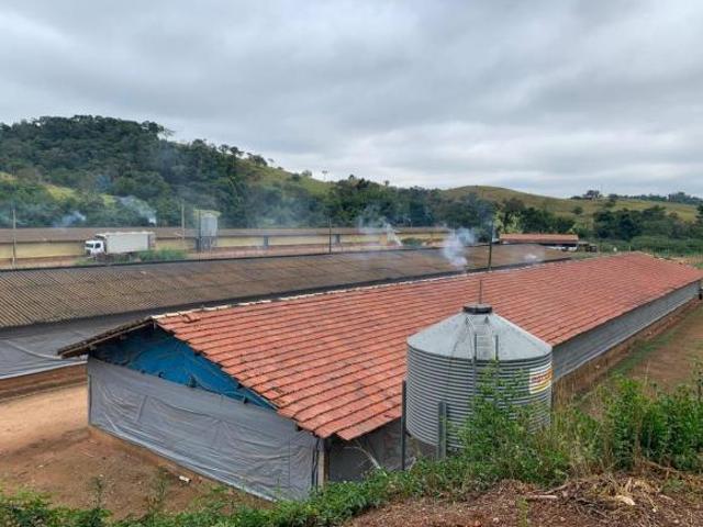 Área de 9,9 hectares, contendo 6 aviários co capacidade de 60 mil frangos, 1 barracão de 240 metros