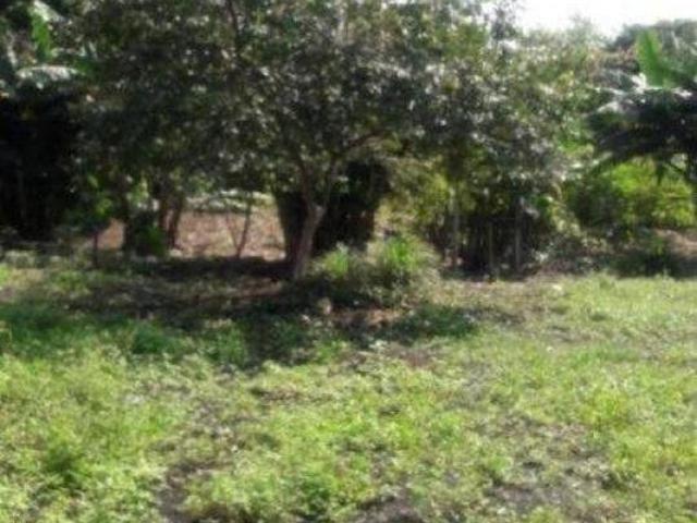Área excepcional próxima ao Aeroporto de Cumbica